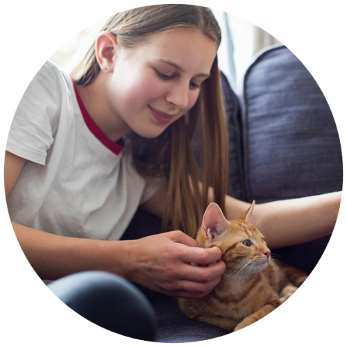 Request a Consult - Video VetChat